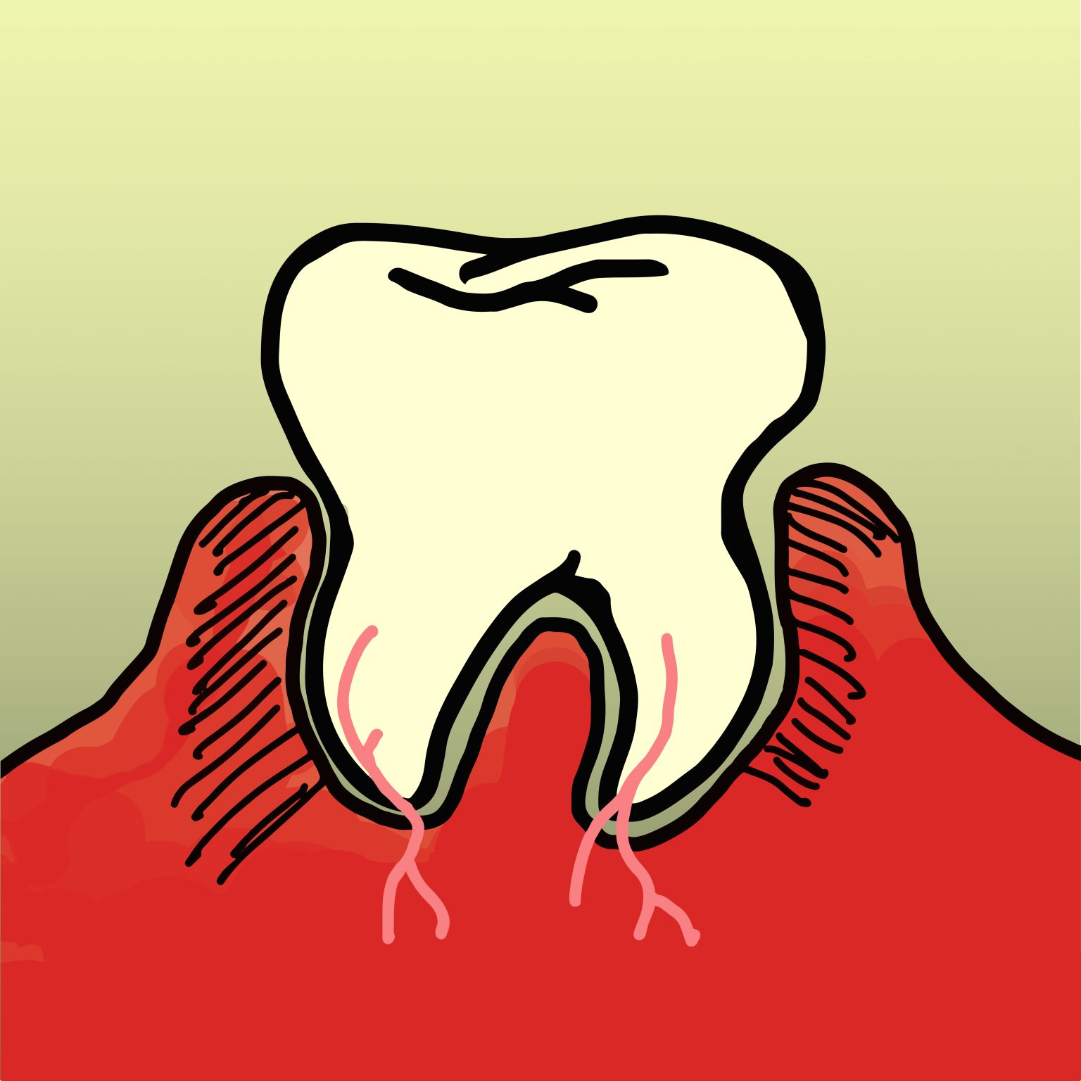 So you have a toothache - now what? - The Dental Studio